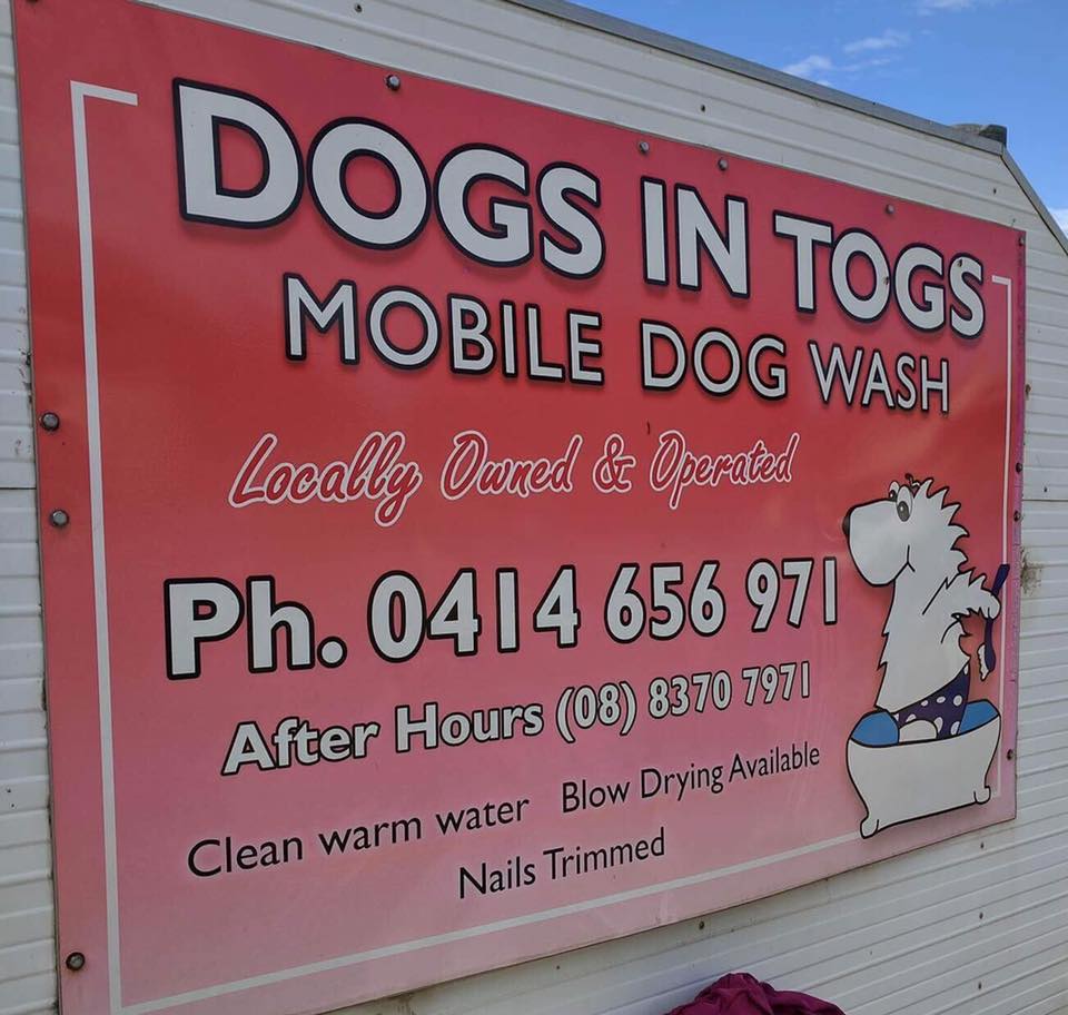 DOGZ IN TOGZ - MOVING PAWS INCORPORATED